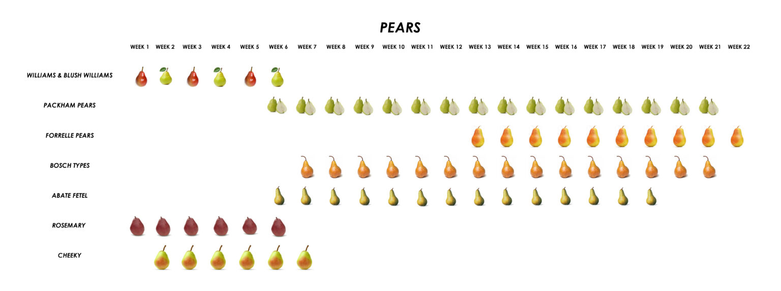 Calendars – Pomona Fruit